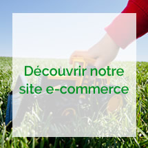 Accueil - Vert Service